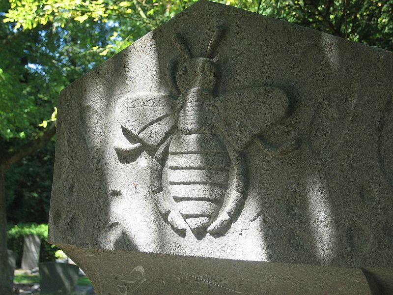 Death Bee-comes You! – Death Becomes You